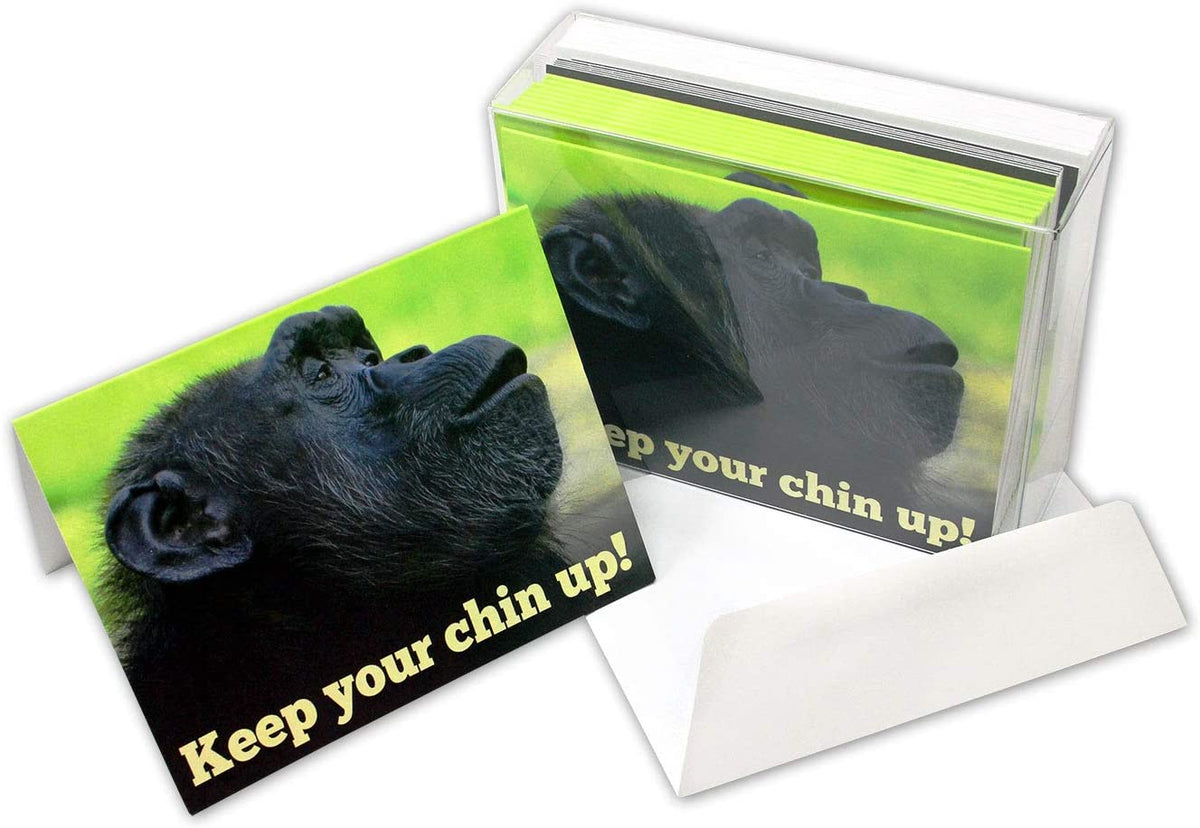 Keep Your Chin Up Encouragement Cards-Blank Inside with Envelopes-5.5 ...