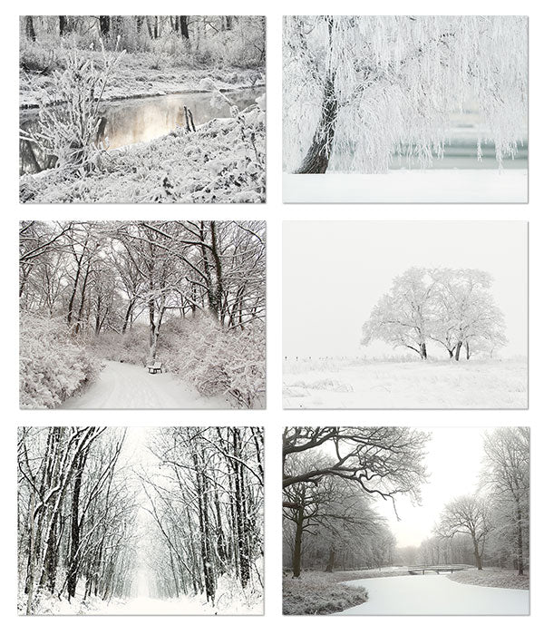Winter Scenes Cards - Blank Inside with Envelopes - 5.5"x4.25" - 12 or ...